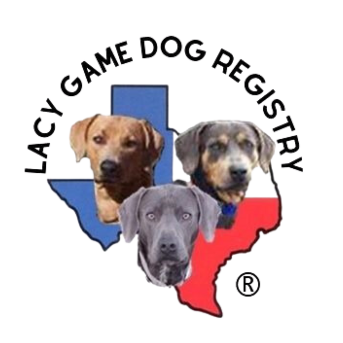 HOME - Texas Lacy Game Dog Association (TLGDA) - (TLGDA)